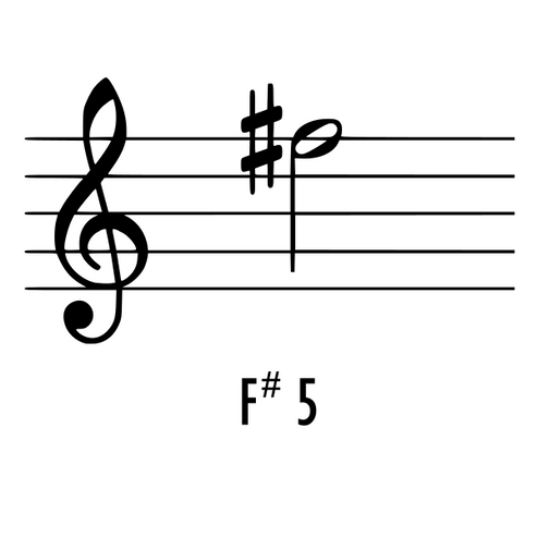 F#5 Tuned Thai Gong – The Gong Shop