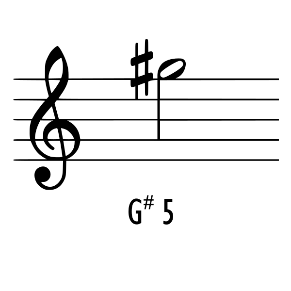 G#5 Tuned Thai Gong – The Gong Shop